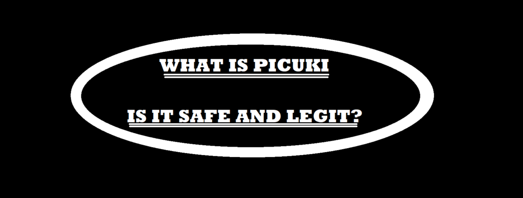 What is Picuki - How can Use it to Download Instagram Post
