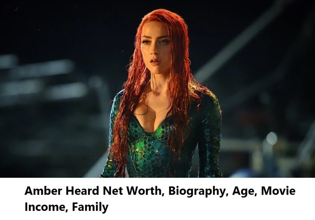 Amber Heard Net Worth, Biography, Age, Movie Income, Family - fixthelife